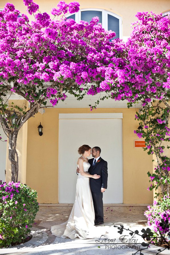 Shifting our focus... Laura Eaton Photography now specializes in ...