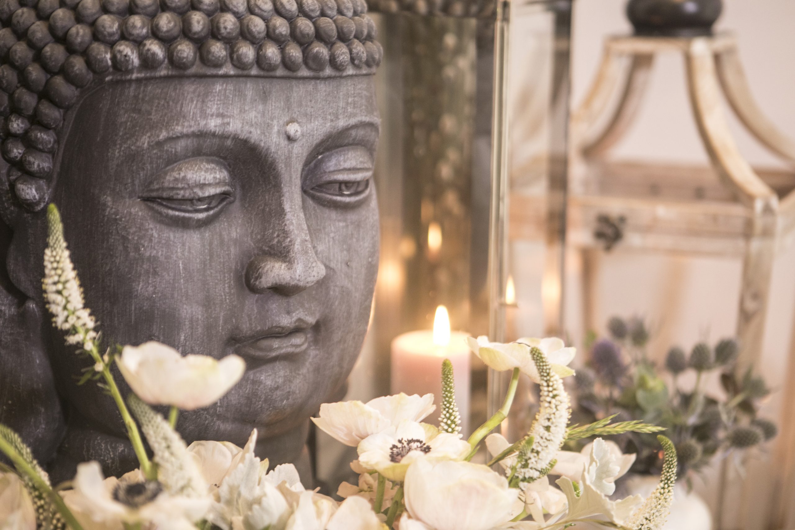 Commercial and Product Photography by Laura Eaton - Philadelphia ...